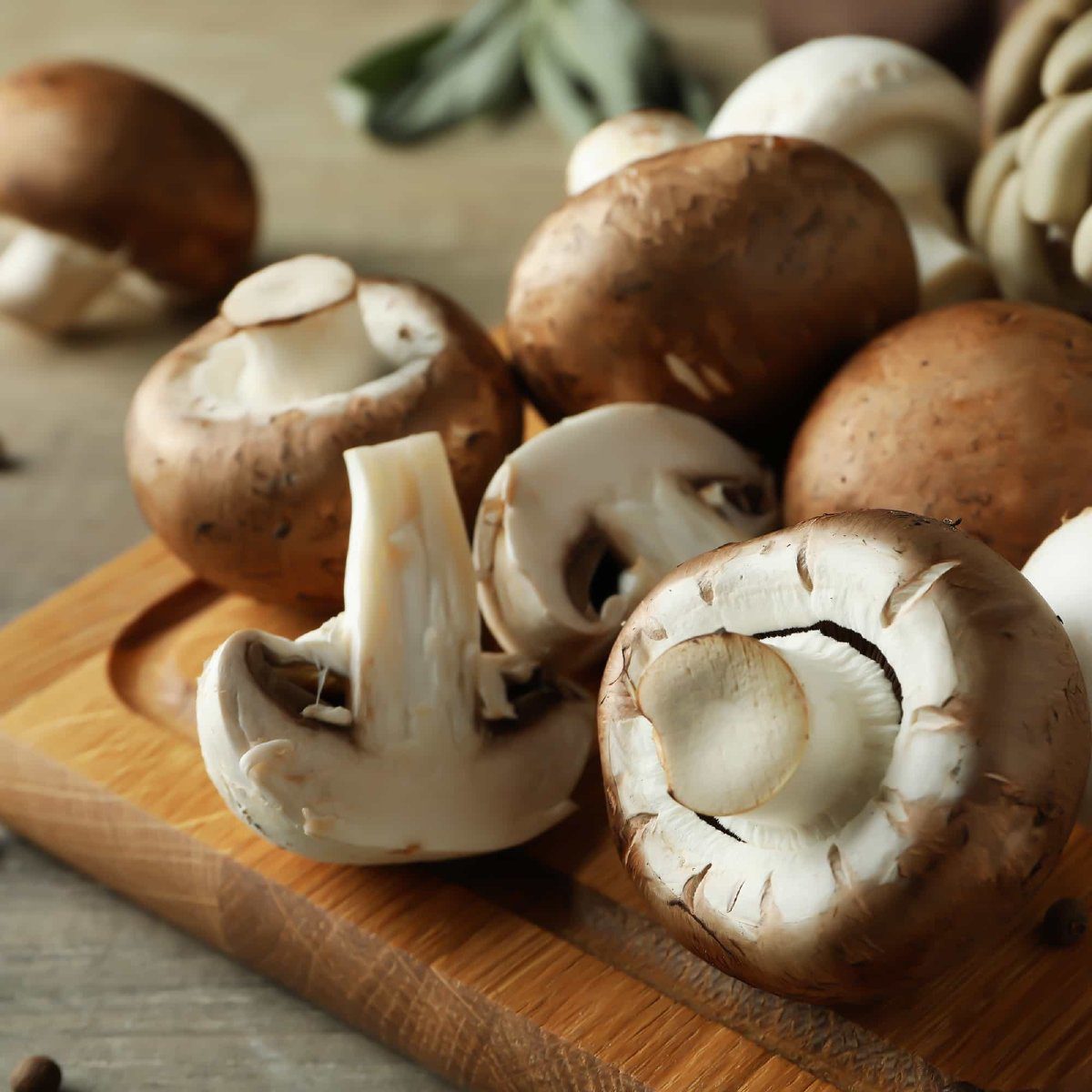 Mushrooms Nutrition Facts - auscrops.com.au Mushrooms Nutrition Facts - auscrops.com.au